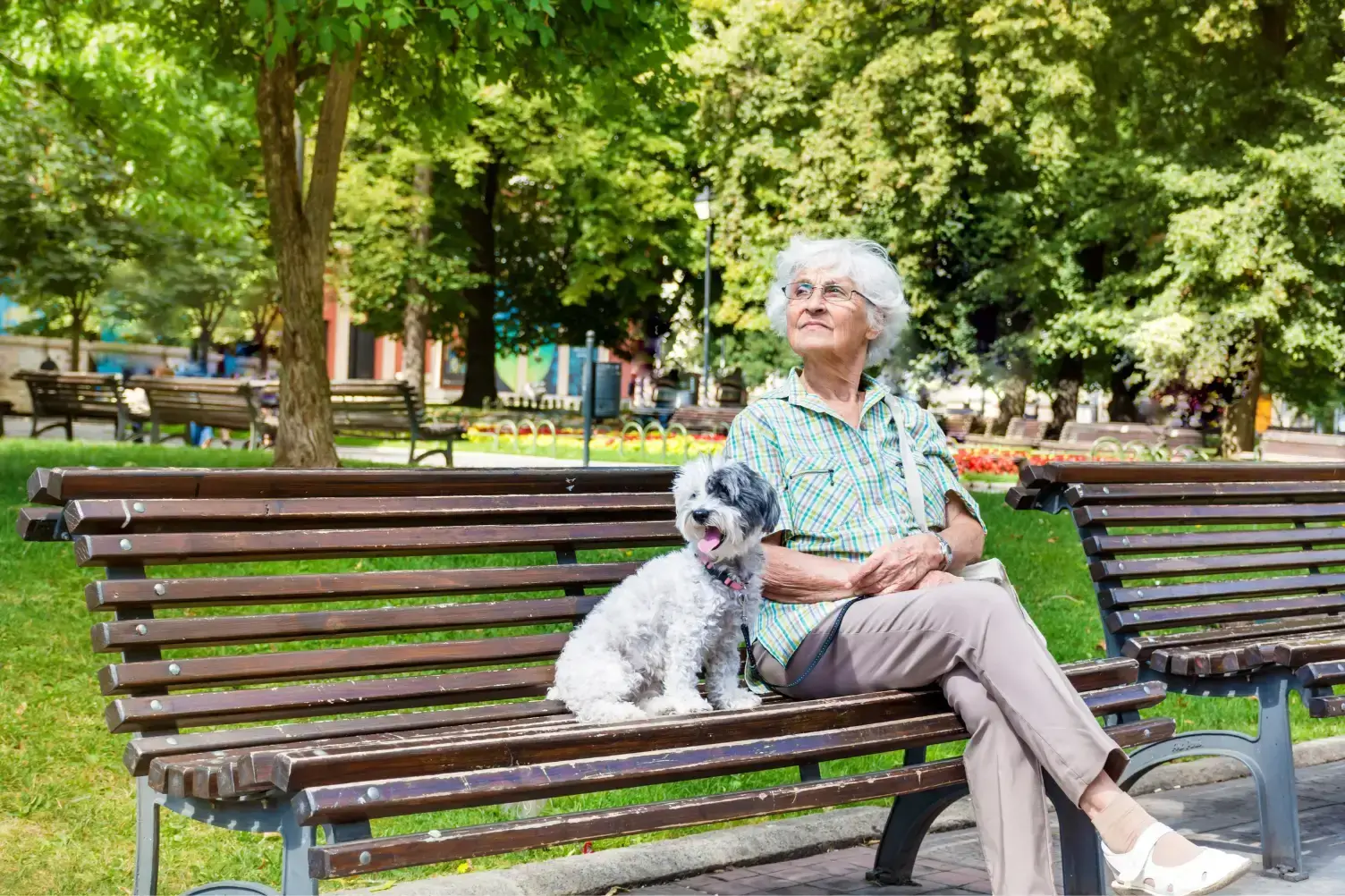 How does the cremation process work?